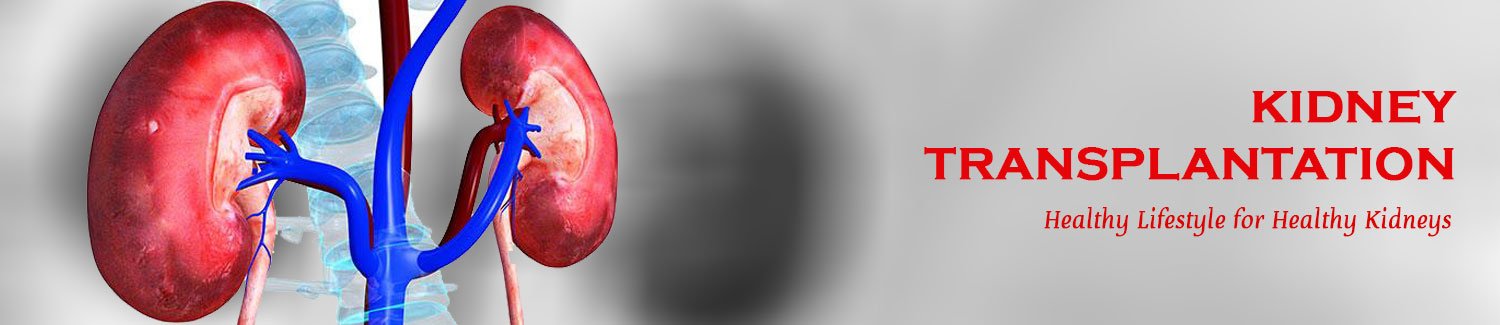 Kidney Transplant - Euphoria Care